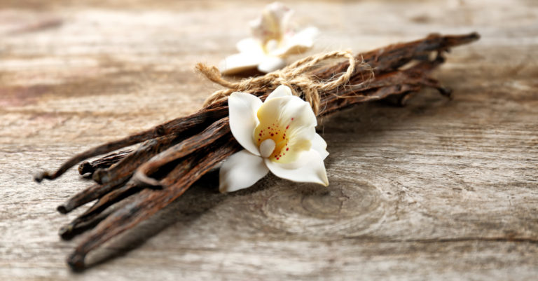 What is Vanilla and Why Do We Love It? – Kitchen Alchemy